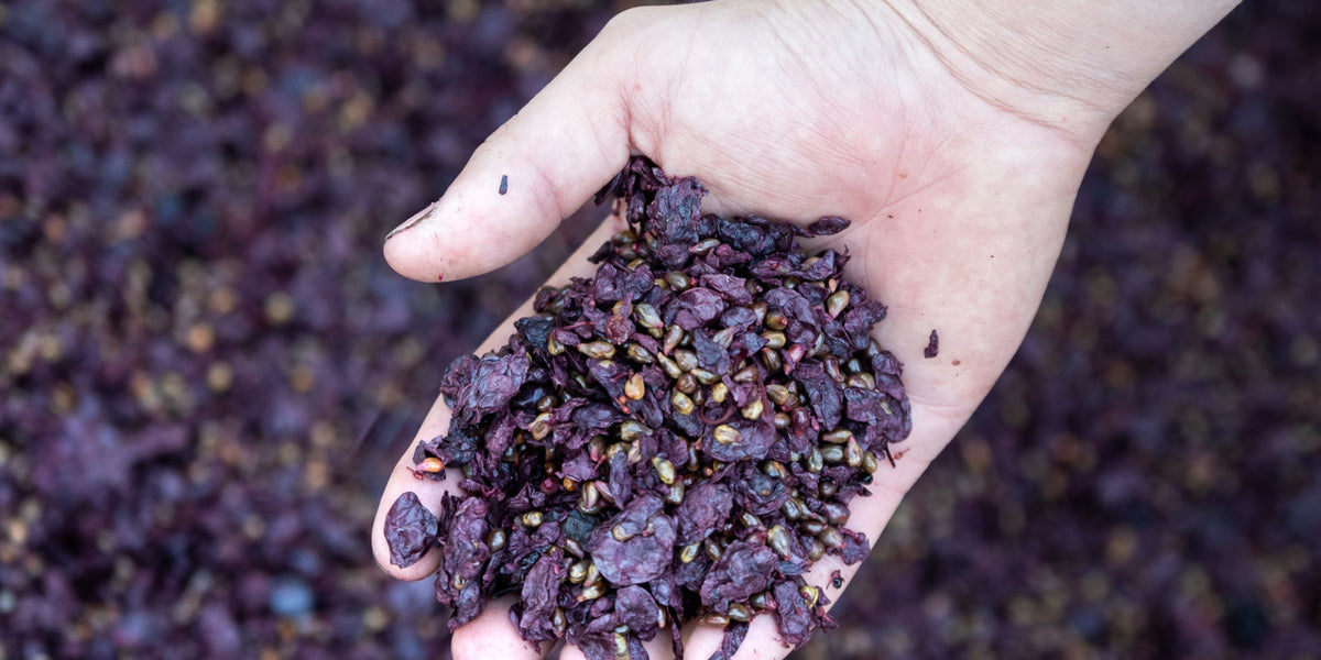 化腐朽為神奇：Marc, Fine and Ratafia de Bourgogne — French Wine Direct